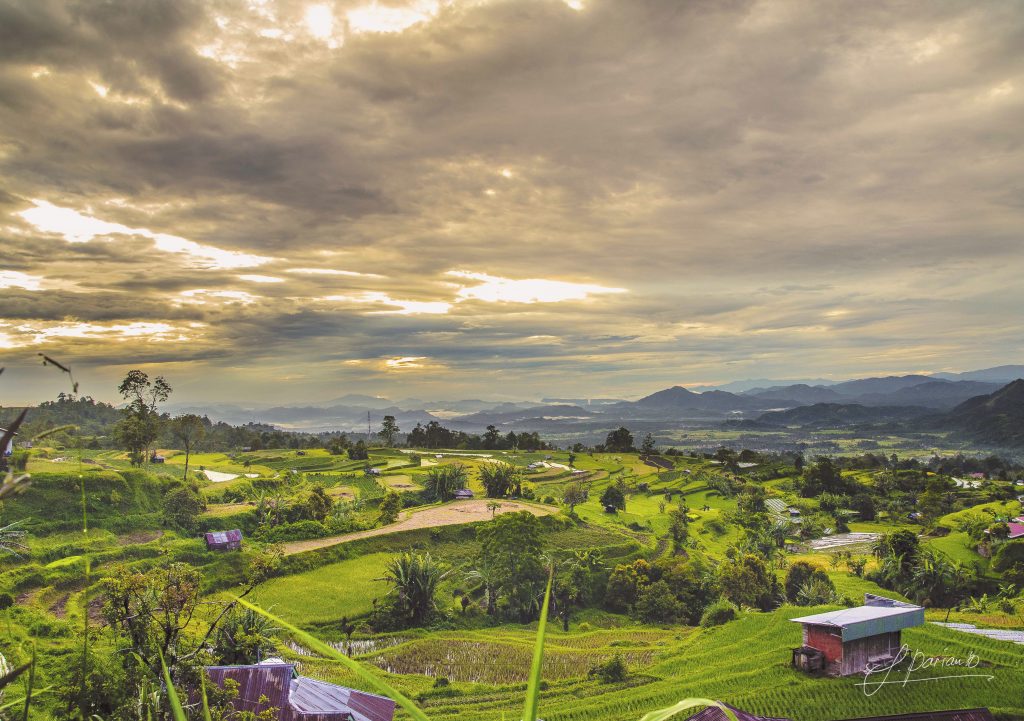 Kesempatan Karir Daerah Tanah Datar Tahun 2022 - TigaBisnis